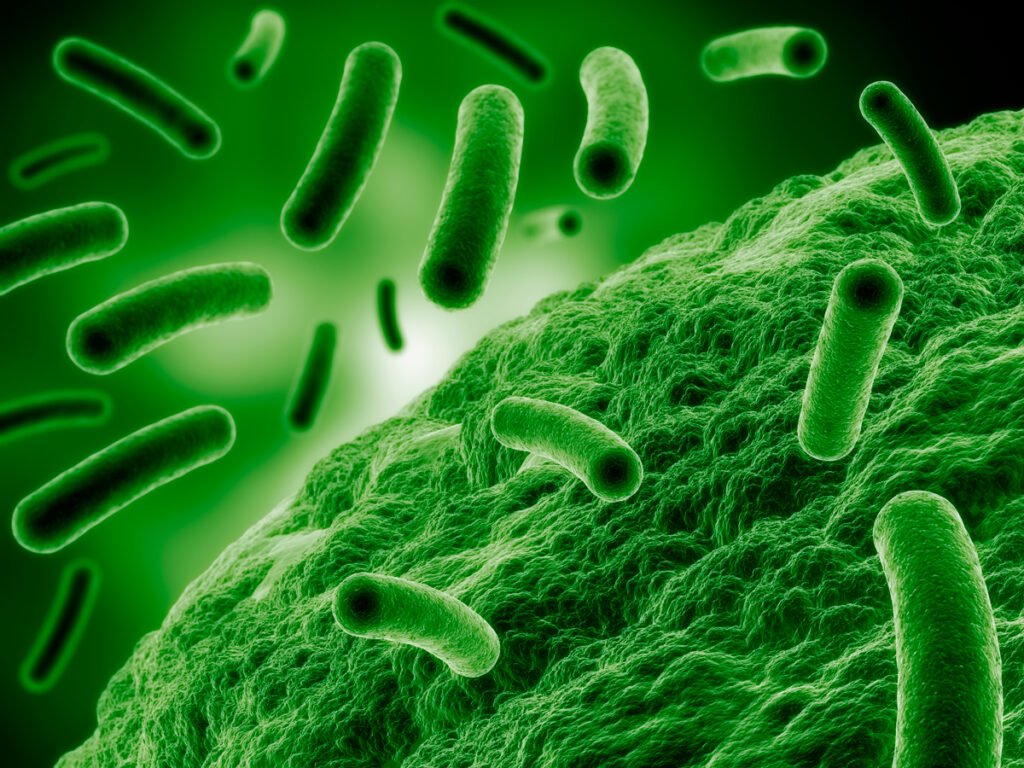 Antimicrobial Resistance (AMR): Global Trends, India’s Crisis, and ...
